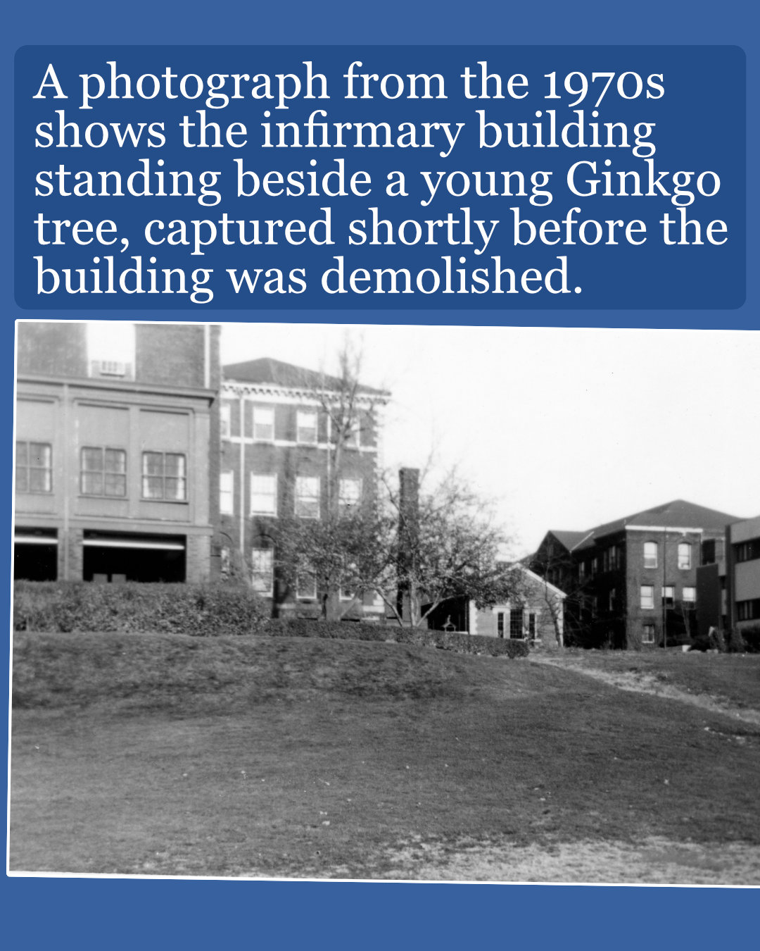 9/11 Memorial Tree – WPSD Alumni Association